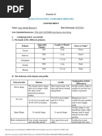 Human Evolution Student Activity Worksheet | PDF