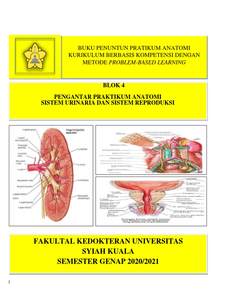 Modul Praktikum Anatomi Blok 4 - 2020 | PDF