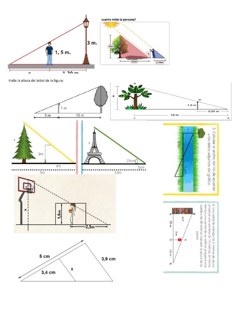 Tales | PDF | Hogar, jardinería y bricolaje