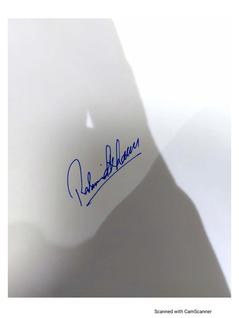 Rashid Signature | PDF