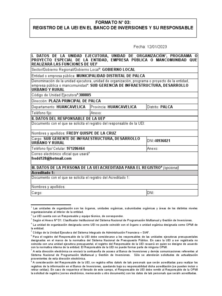 Formato 3 Registro de La Uei en El Banco de Inversiones y Su Responsable | PDF