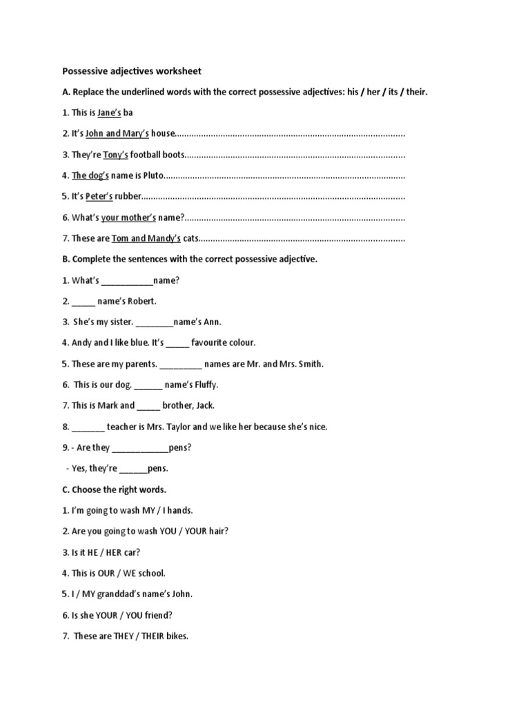 Possessive Adjectives Worksheet | PDF