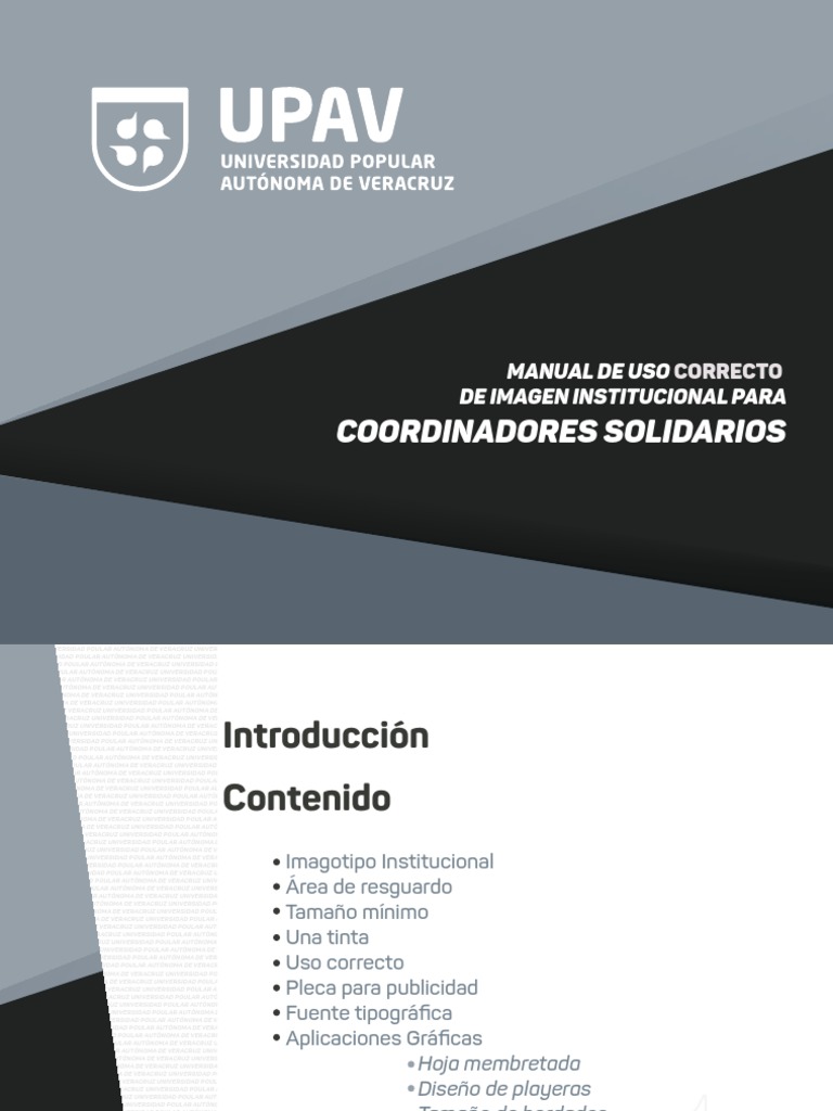 Manual de Uso de Imagen Institucional UPAV | PDF