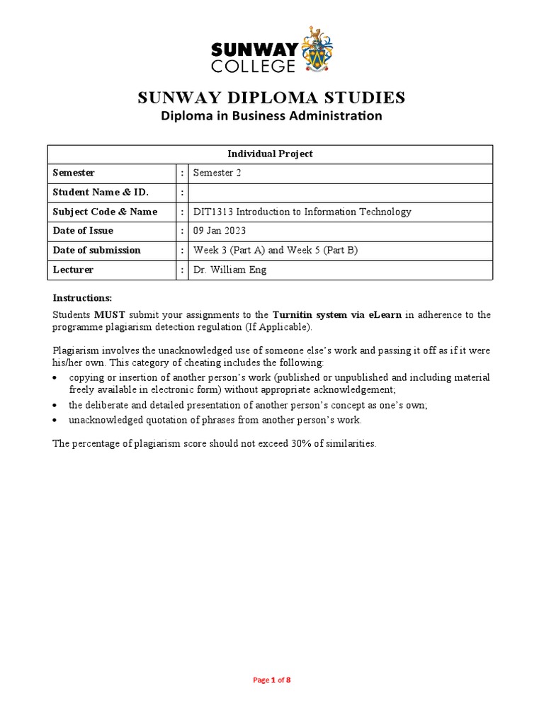 Diploma Business Admin Individual Project Database Spreadsheet | PDF | Databases | Worksheet