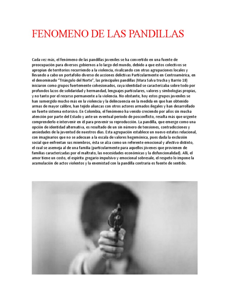 Pandillas: Violencia y Exclusión Juvenil | PDF | Sra. 13