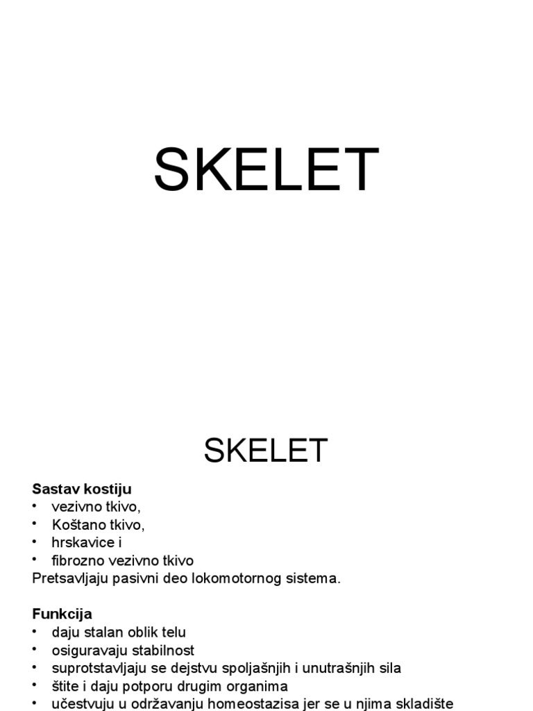 Skelet | PDF