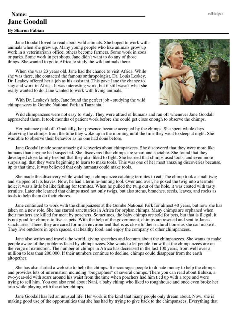 Reading Comprehension and Math Grade 6 Book3 | PDF | Chimpanzee ...