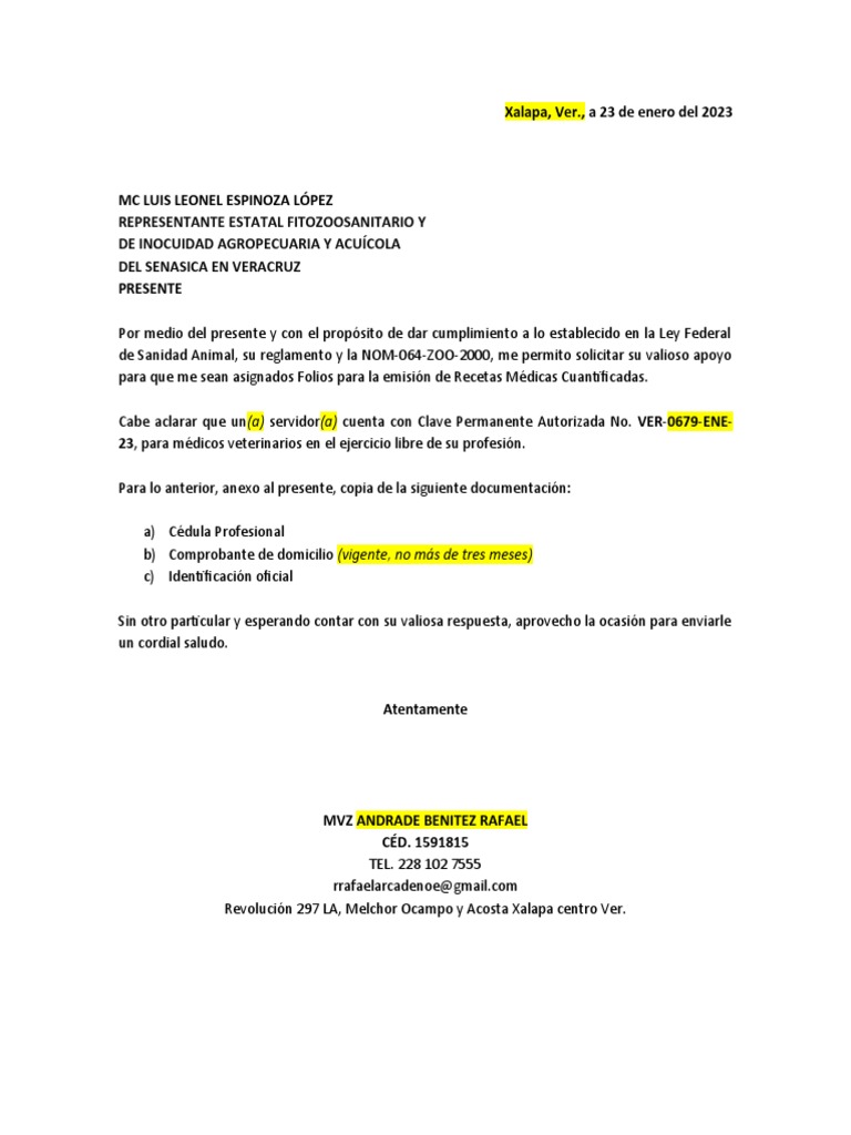 Solicitud Folios P RMC - Ejem | PDF