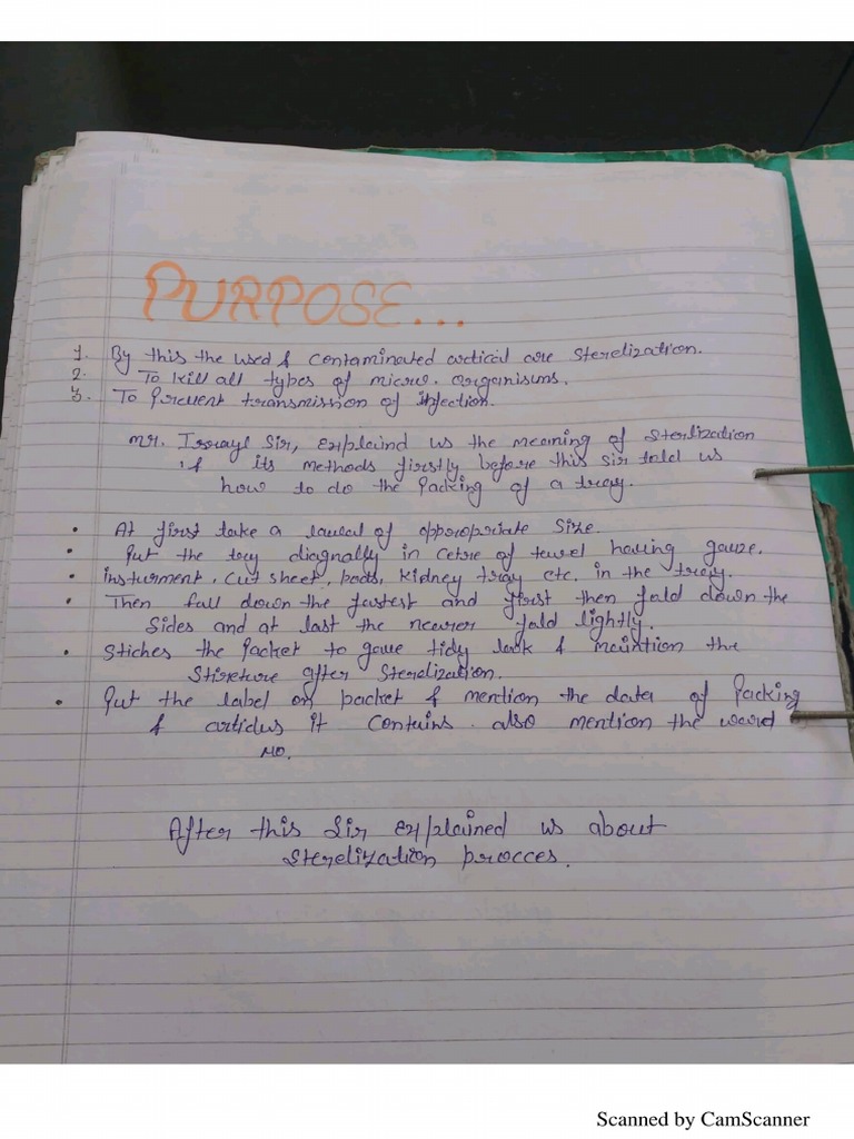 Gnm Nursing Fundamental File Pdf