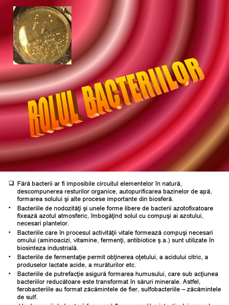 Rolul Bacteriilor | PDF
