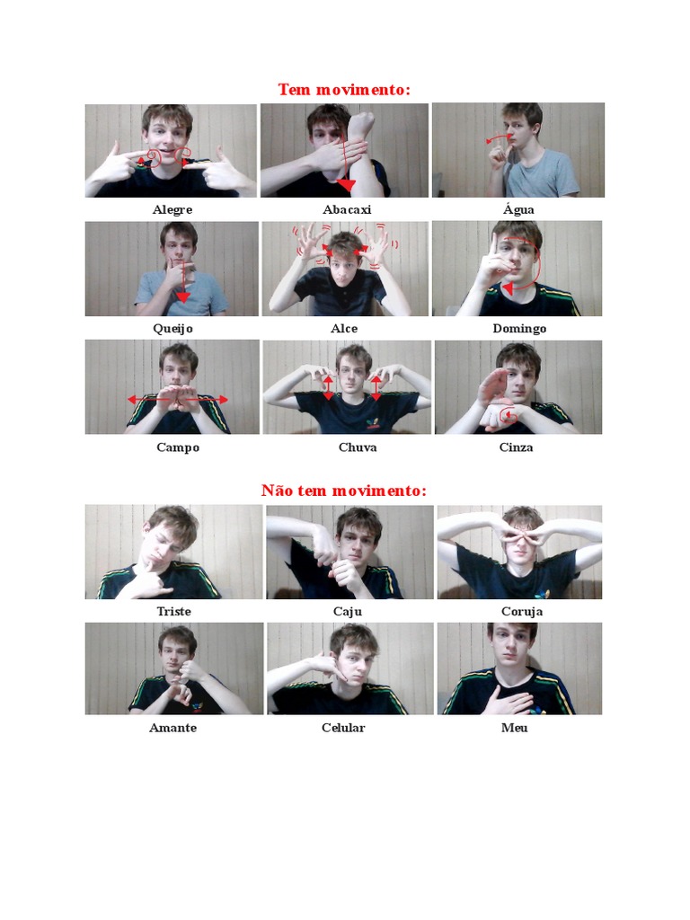 Exemplo - Movimento (Libras) | PDF