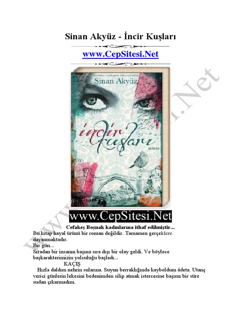 Sinan Akyz Ncir Kular | PDF