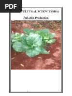 Bird Butterfly Garden Plan | PDF | Mulch | Trees