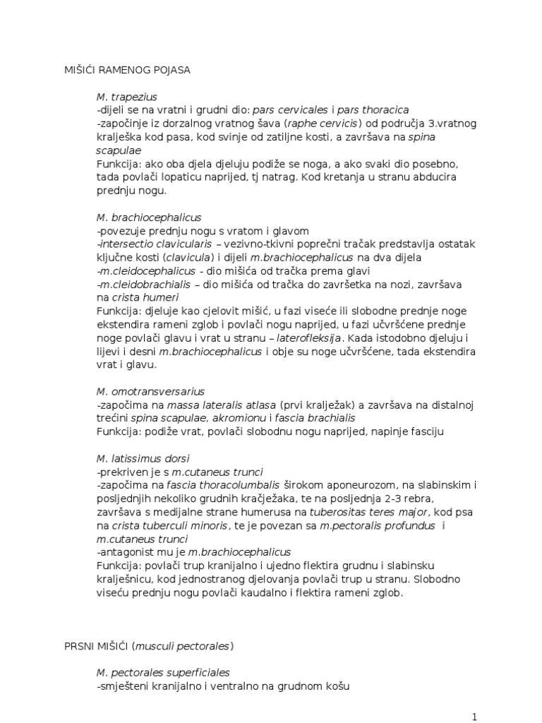 Anatomija-Misici Prednje Noge | PDF