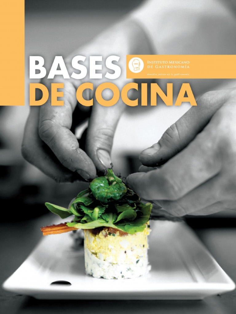 Recetas y Técnicas de Bresa en Cocina | PDF | Salsa | Sopa