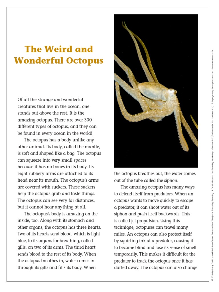 Octopus Read Aloud (Gr. 5TestPrep) | PDF | Octopus | Predation