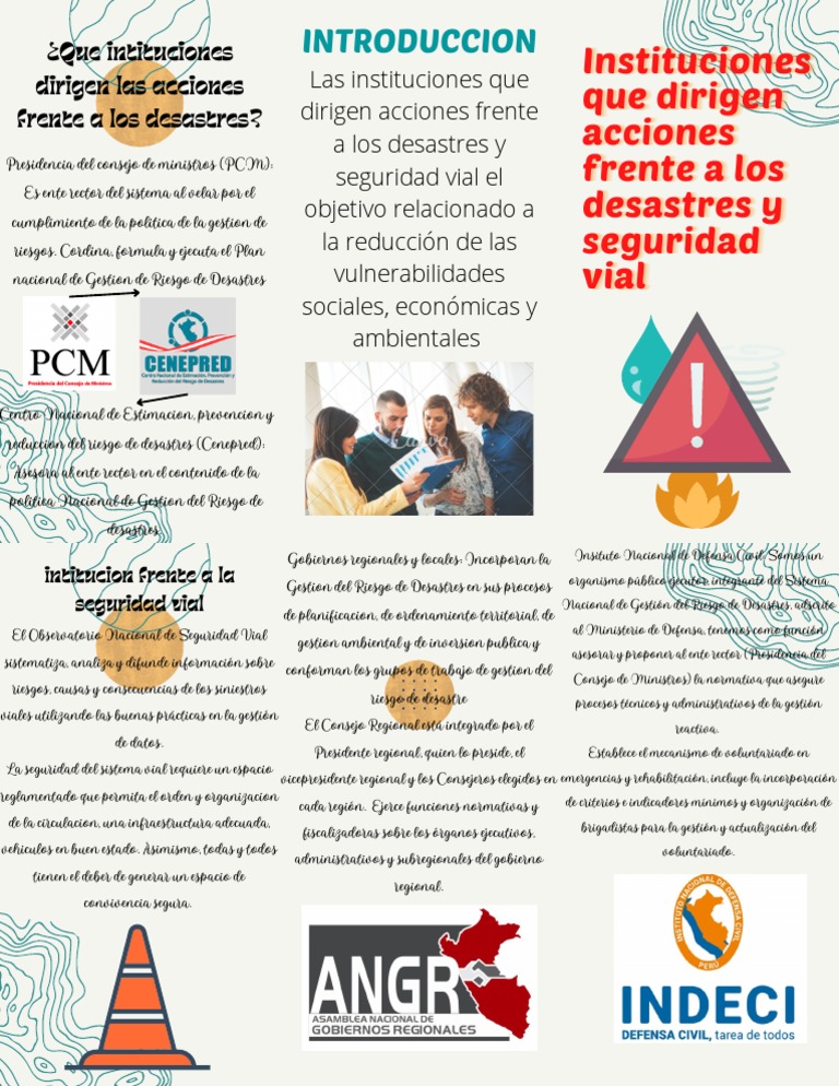 Instituciones Que Dirigen Acciones Frente A Los Desastres y Seguridad ...