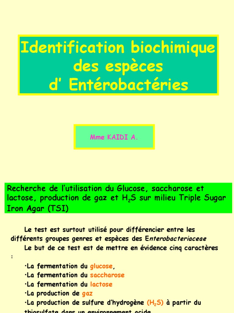 Identification des entérobactéries TSI | PDF | Acide aminé | Fermentation