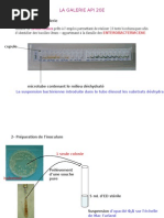 GALERIE API 20E Ensemencement Lecture Et Interprétation | PDF ...