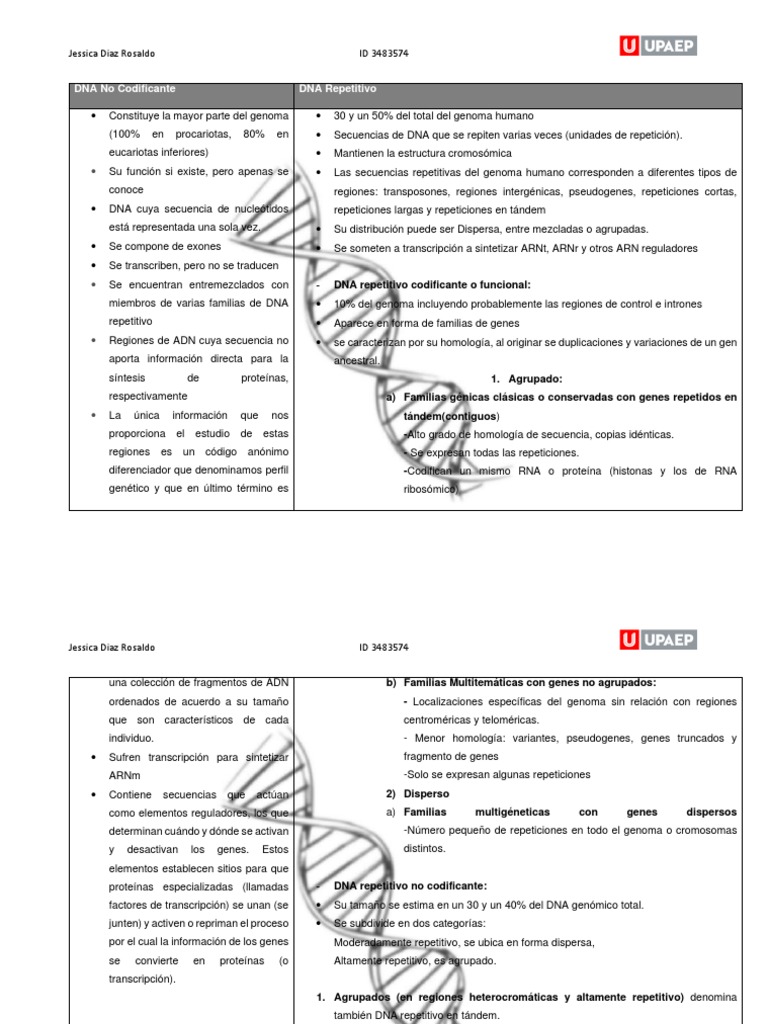 DNA No Codificante VS DNA Repetitivo | PDF | Adn | Genoma