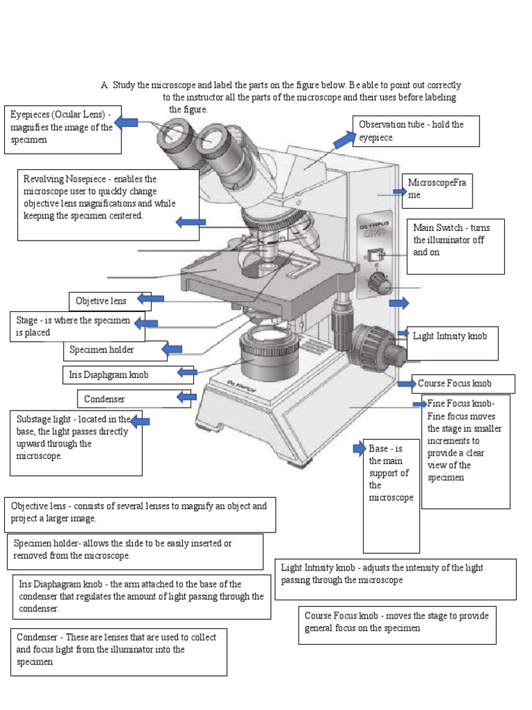 Zoology | PDF | Microscope | Laboratory Equipment