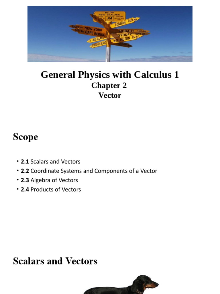 2 - Chapter 2 Vector | PDF | Euclidean Vector | Vector Space