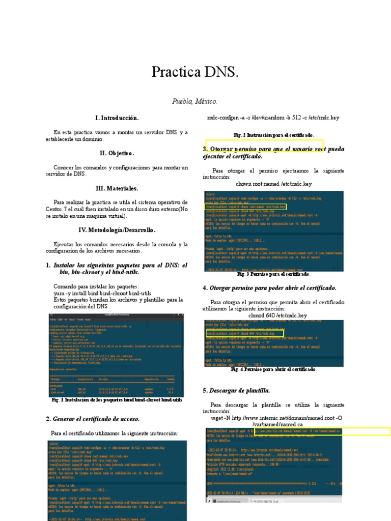 Practica DNS | PDF | sistema de nombres de dominio | Arquitectura de Computadores