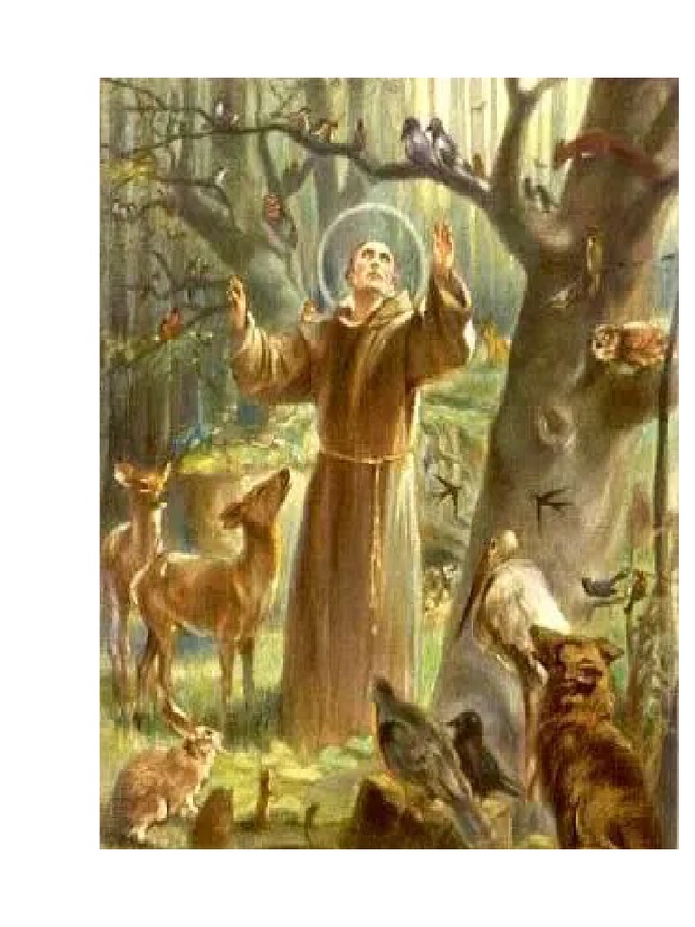 Arbol Geografico | PDF