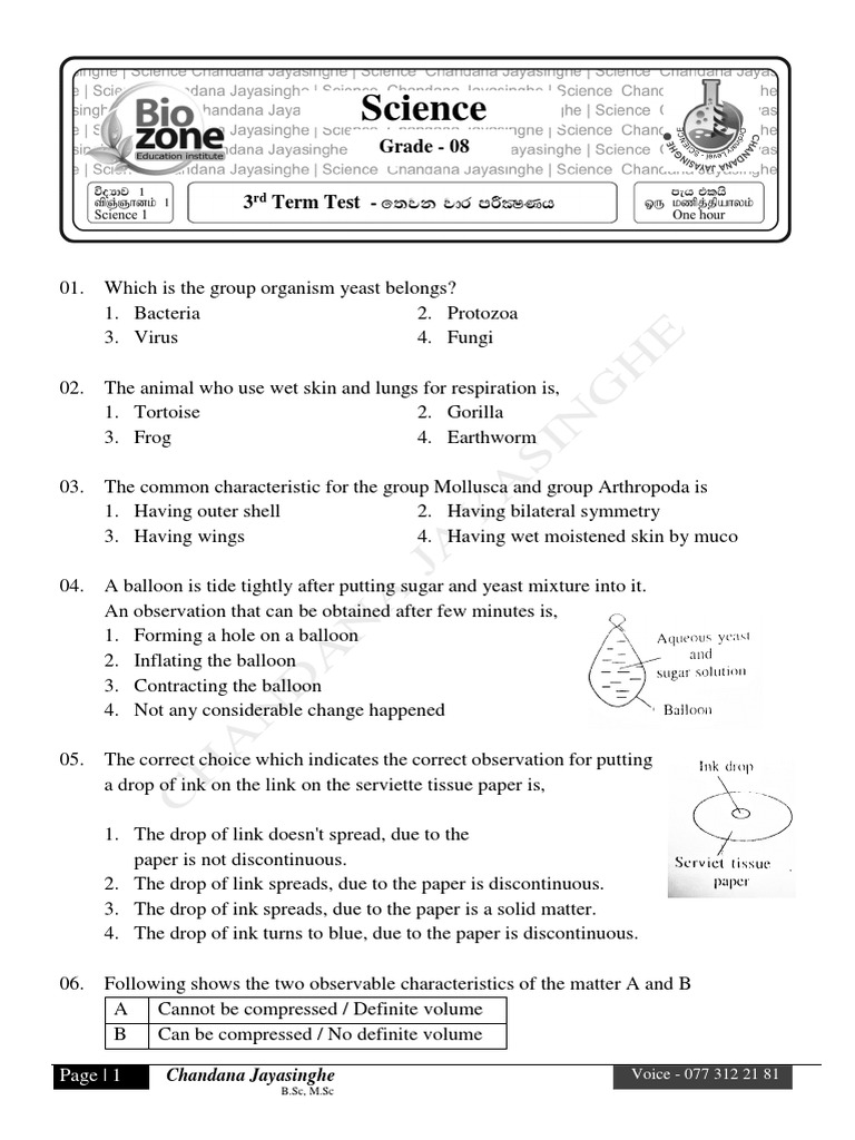 Grade 8 Science Test Questions | PDF | Earth | Stars