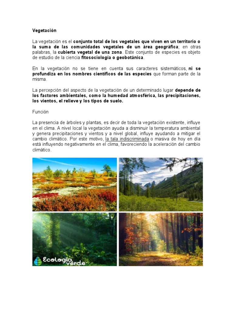 Vegetación | PDF | La dependencia de sustancias | Clima