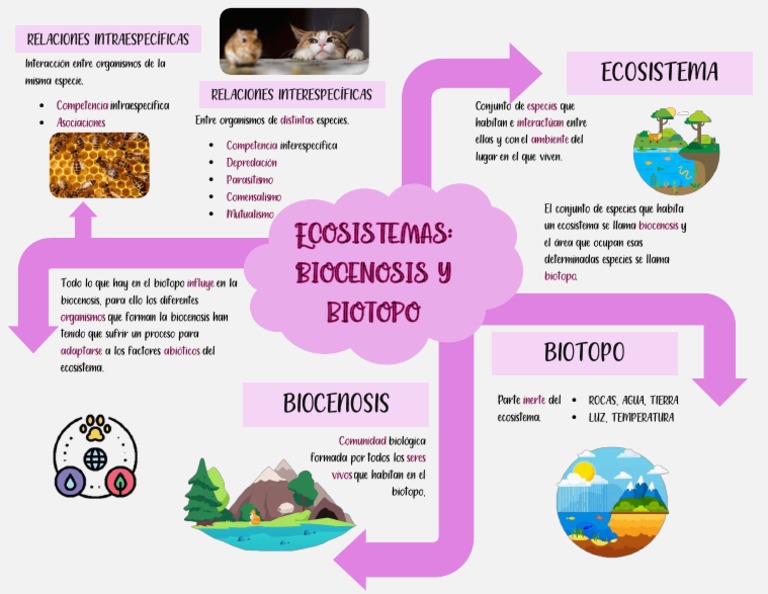Mapa Mental Biocenosis y Biotopo | PDF
