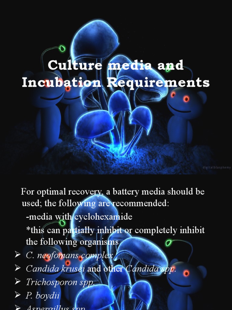 Culture Media and Incubation Requirements | PDF | Yeast | Growth Medium
