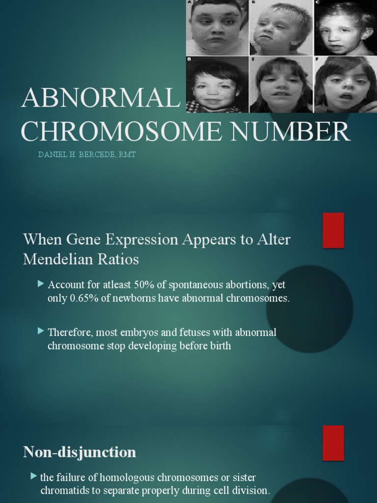 8-Abnormal-Chromosome-Number 2 | PDF | Ploidy | Intersex