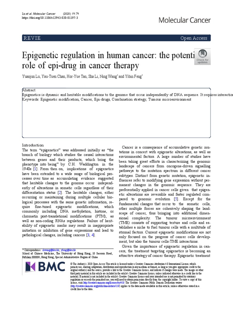 Epigenetic Regulation in Human Cancer: The Potential Role of Epi-Drug in Cancer Therapy | PDF ...