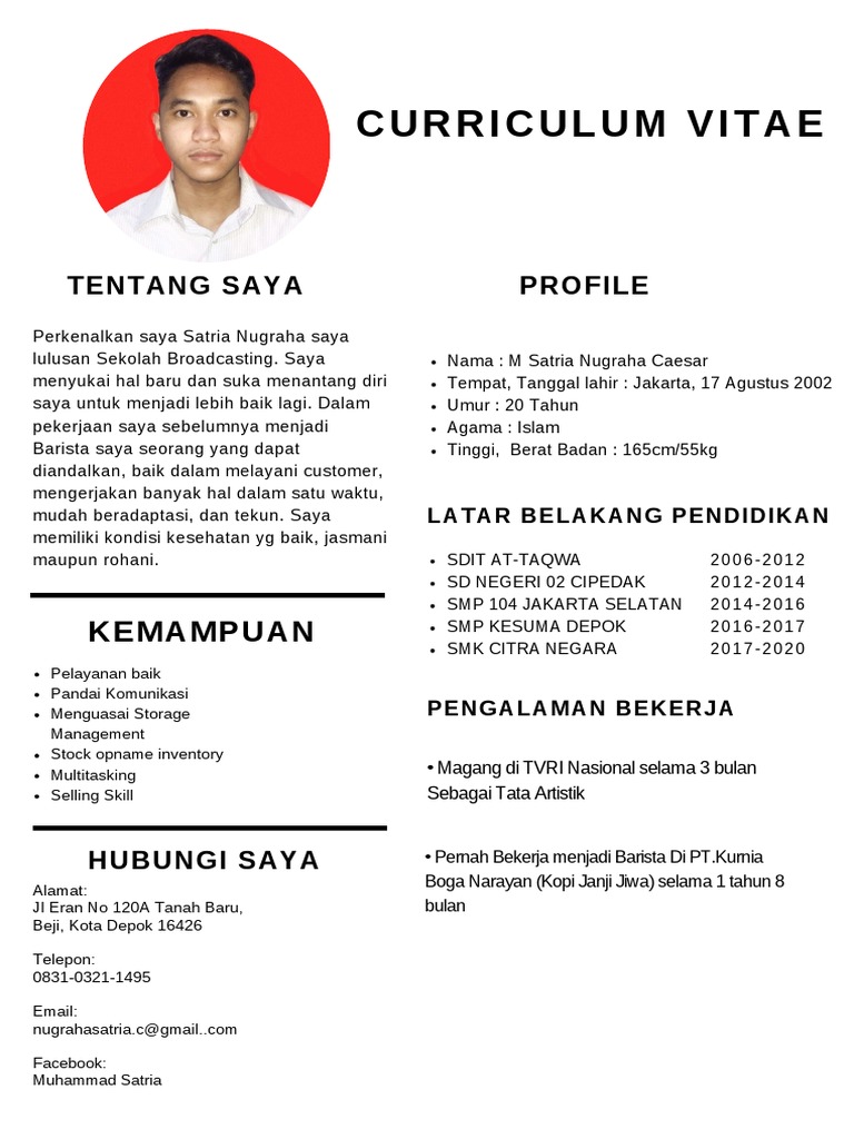 Curriculum Vitae M Satria Nugraha | PDF