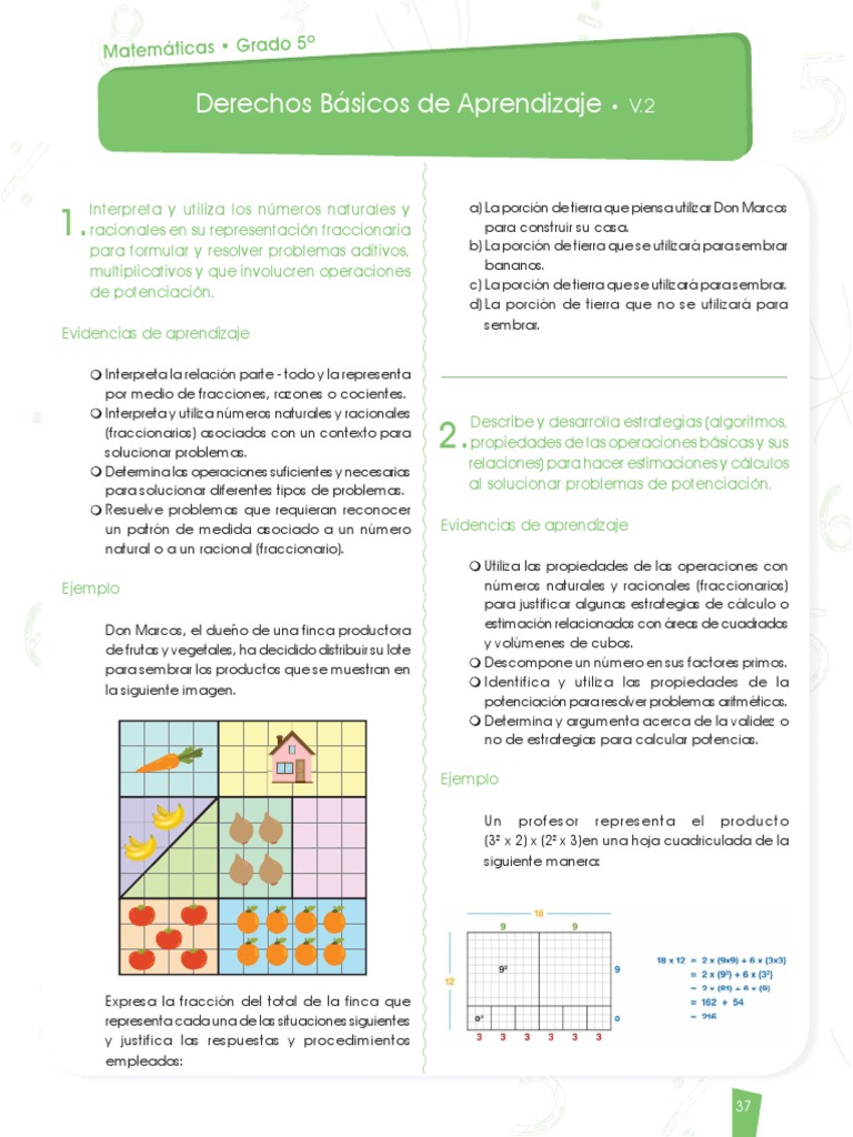 DBA Matemáticas Quinto | PDF | Rectángulo | Número racional