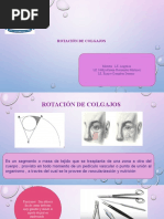 Antrectomia | PDF | Cirugía | Estómago