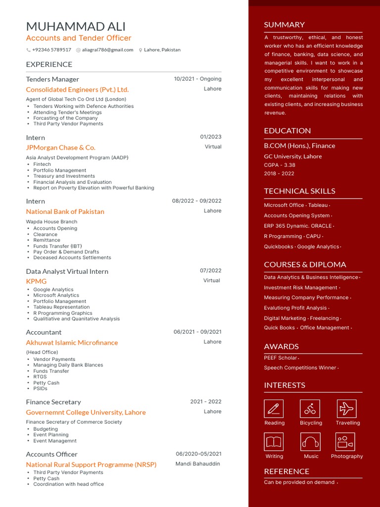 Muhammad Ali Resume | PDF | Analytics | Banks