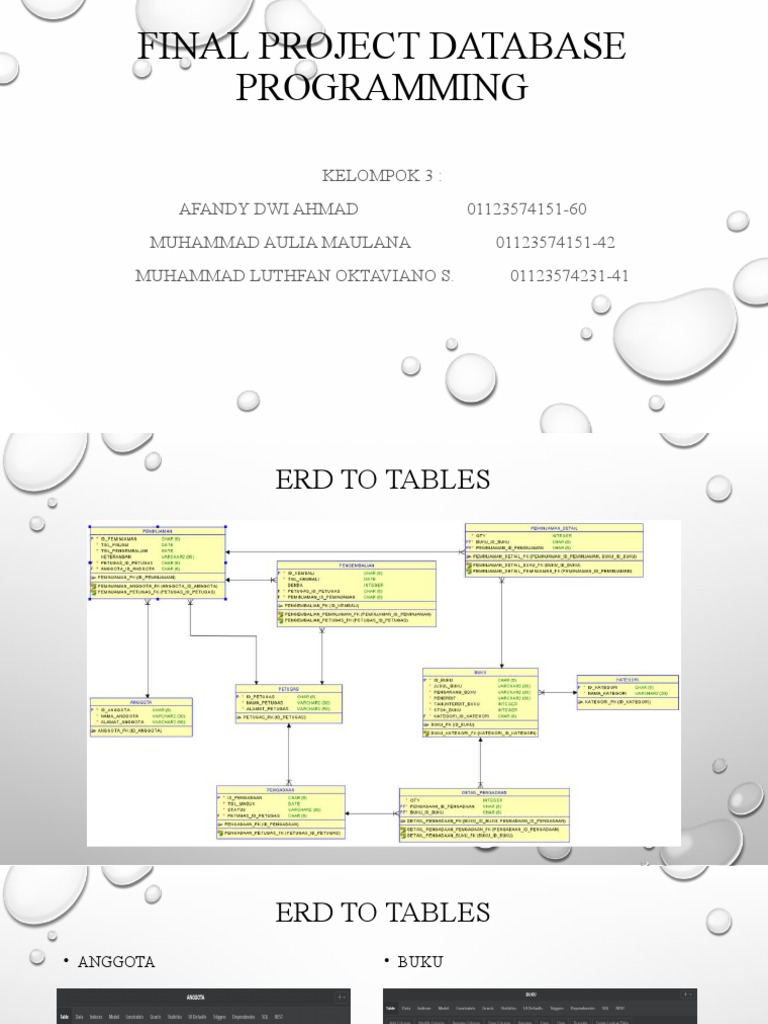 Final Project Database Programming Pdf 9231