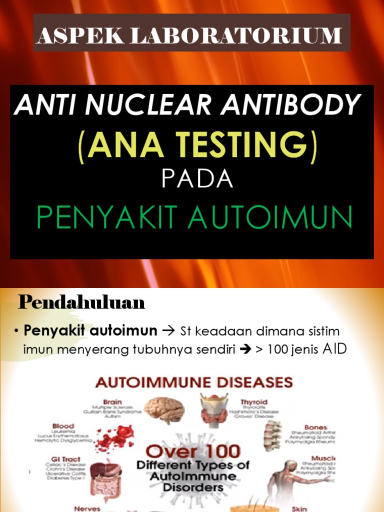 Aspek Lab Ana Testing | PDF