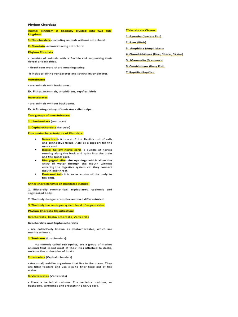 Phylum Chordata (Notes) | PDF | Vertebrates | Chordates