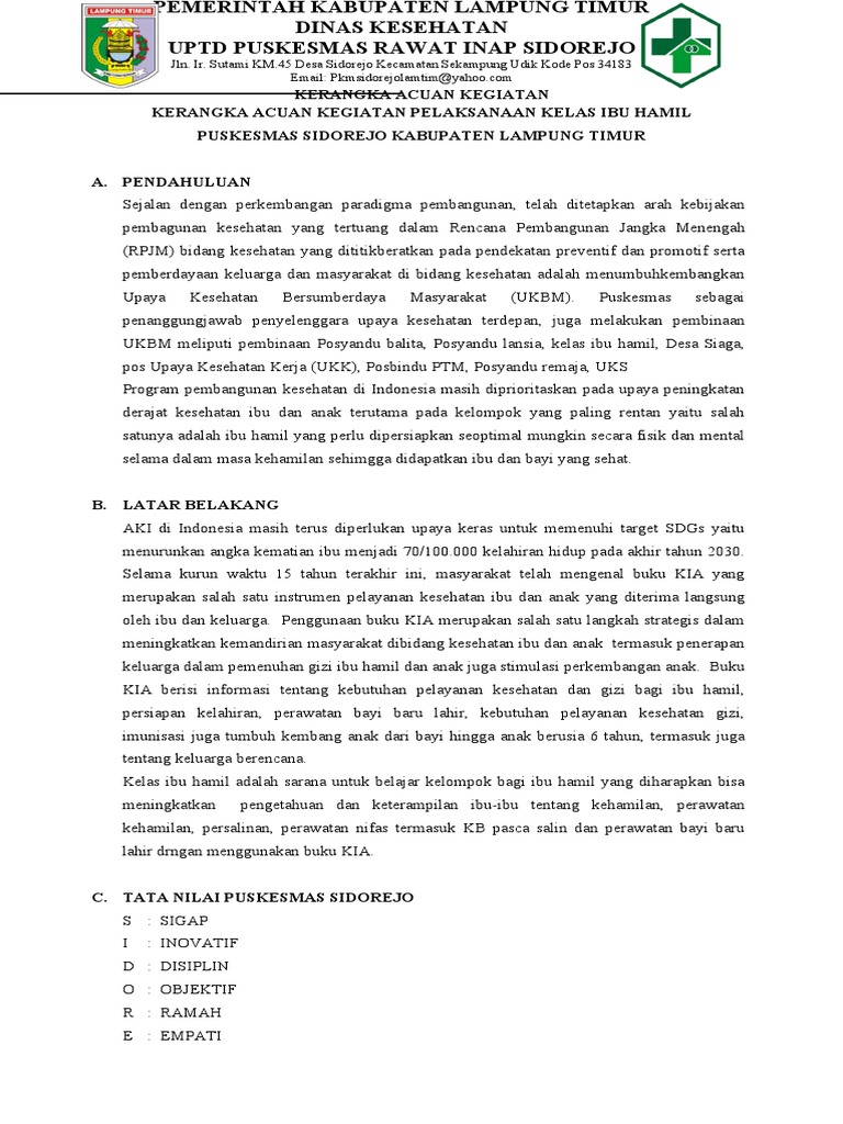 KAK Pelaksanaan Kelas Ibu | PDF | Kesehatan Holistik