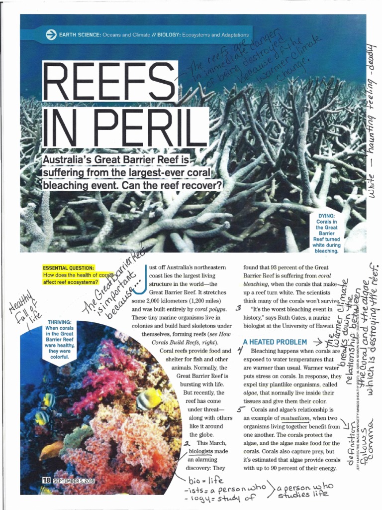 MB Annotations Reefsperil | PDF | Coral | Coral Reef