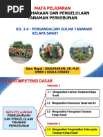 Proses Replanting Kelapa Sawit | PDF