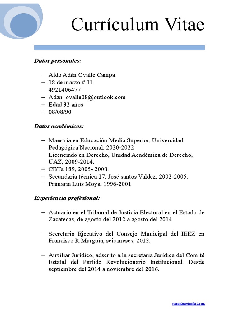 Curriculum Vitae Sencillo | PDF