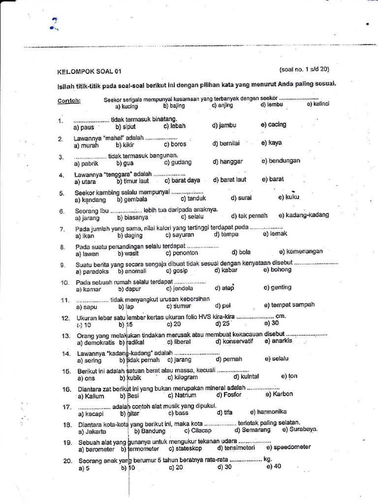 Buku Soal IST | PDF