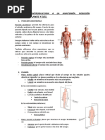 Posición de Roser o Proetz | PDF | Inflamación | Biología Celular)