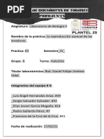 Observación de Células de Corcho al Microscopio | PDF