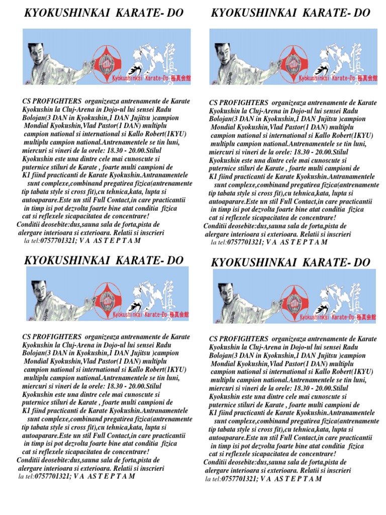 Kyokushinkai 2 Karate | PDF