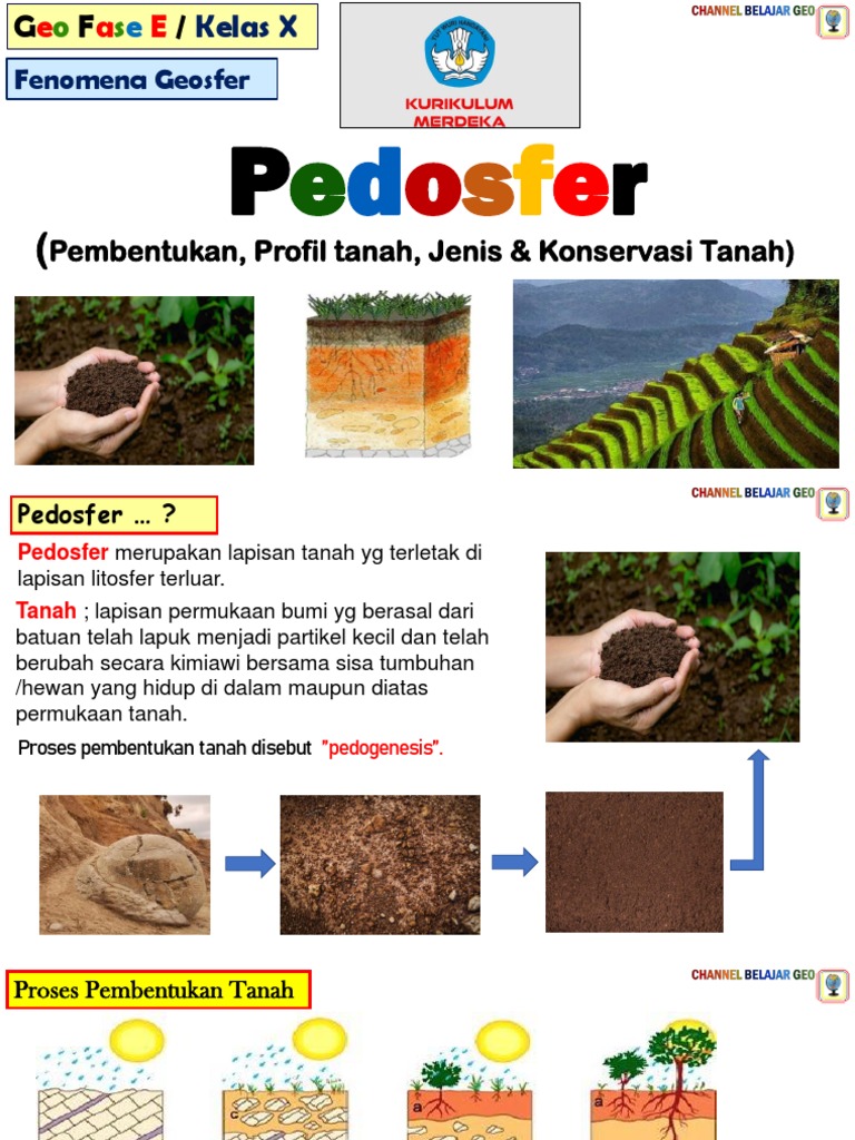Profil dan Jenis Lapisan Pedosfer | PDF | Sains & Matematika